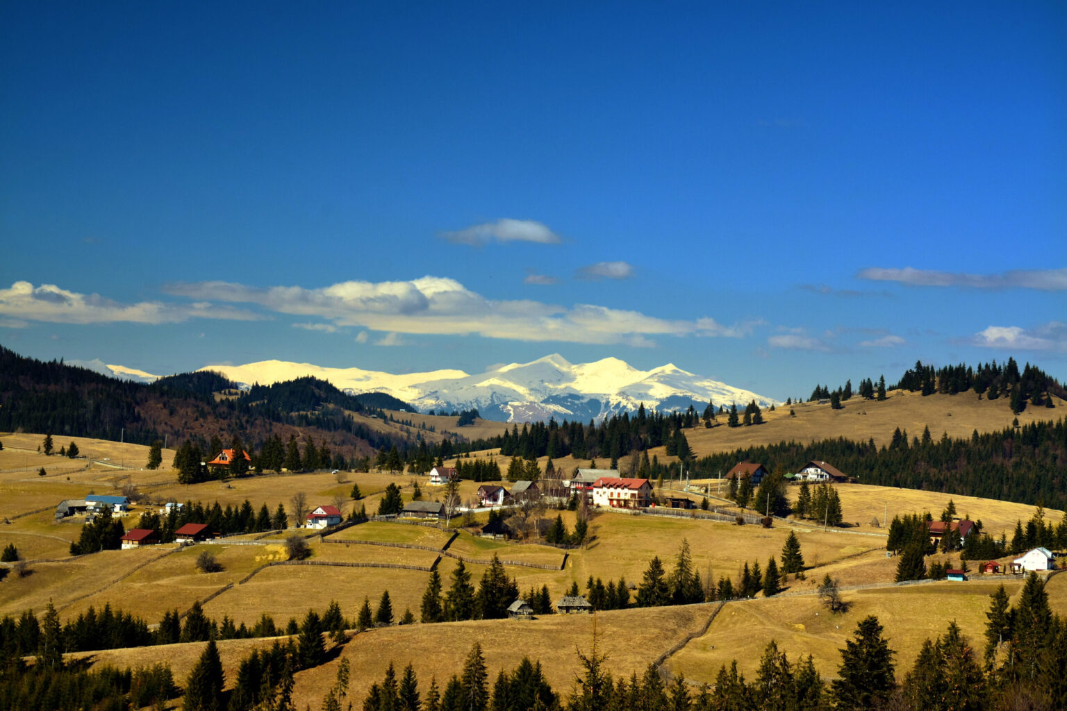 Living in Romania: A Complete Guide for Expats - VANonsite