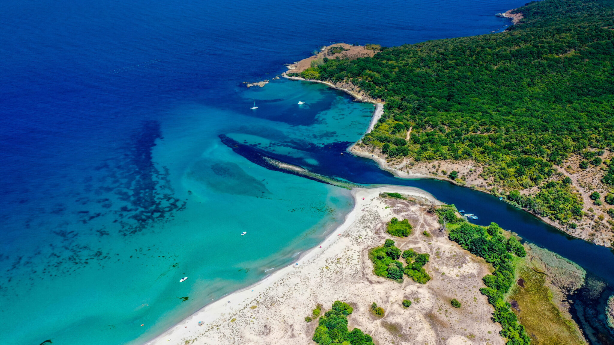 Living in Bulgaria: The Ultimate Expat Guide - VANonsite